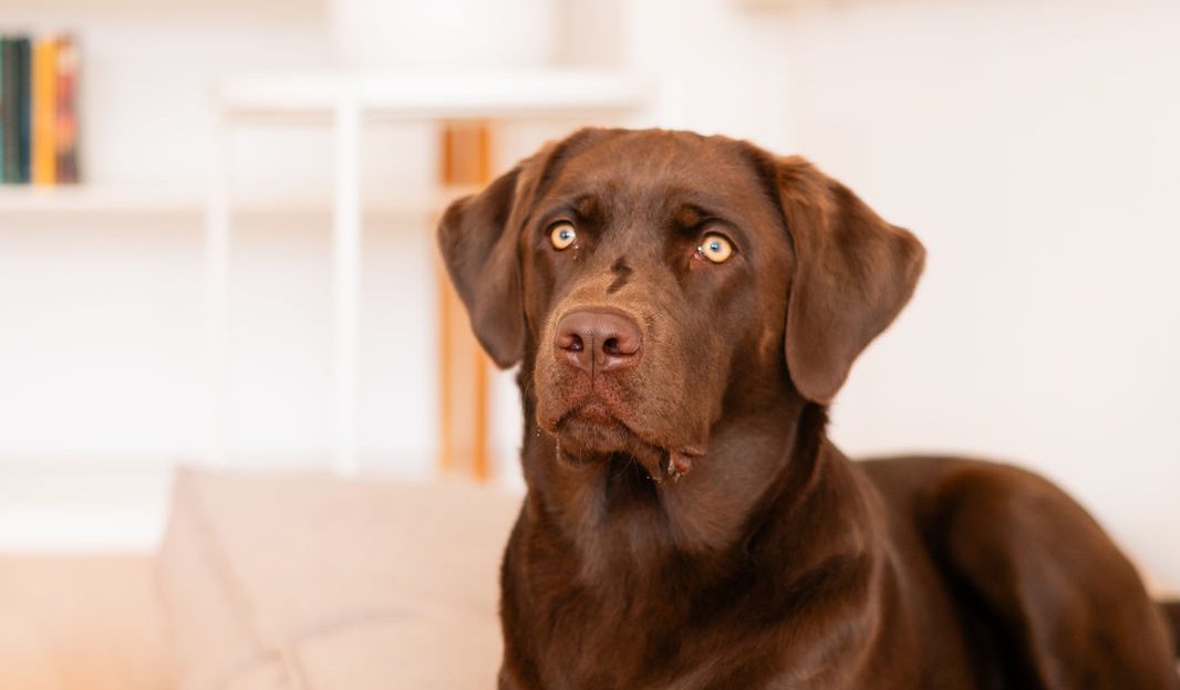 Über mich – Psychotherapeutische Praxis Dr. Laura Dorn