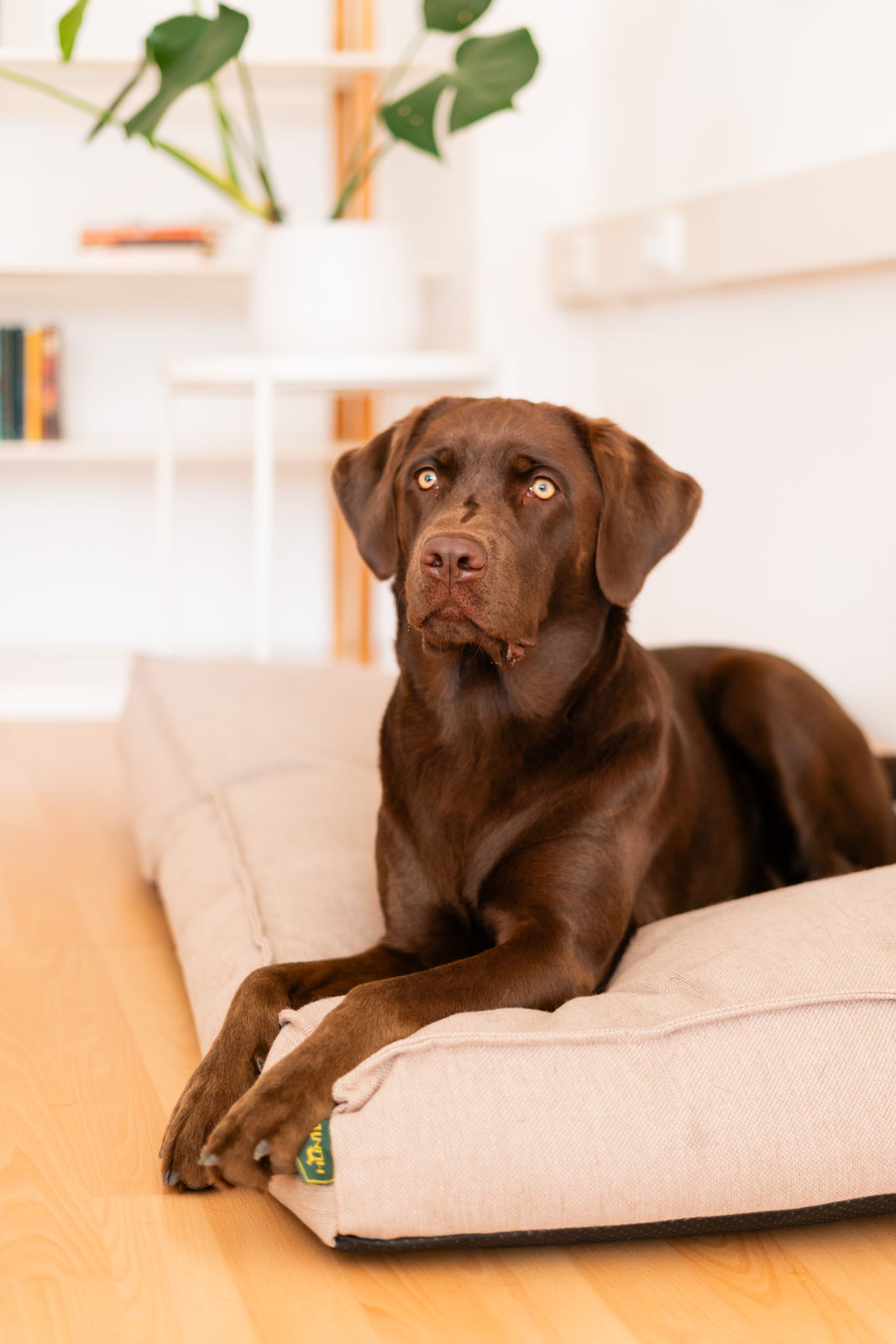 Praxis-Impressionen – Psychotherapeutische Praxis Dr. Laura Dorn